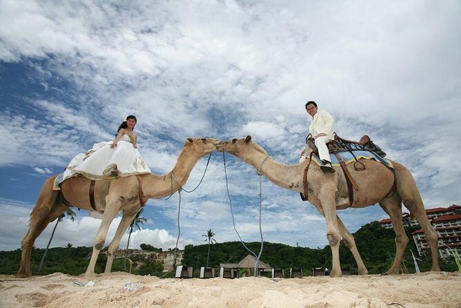 Camel Safari One Hour In White Sand Beach And Uluwatu Temple - Key Points