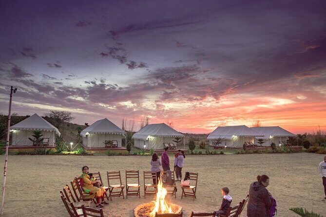 Camel Safari With Night Stay in Camp - An In-Depth Look at the Camel Safari Experience