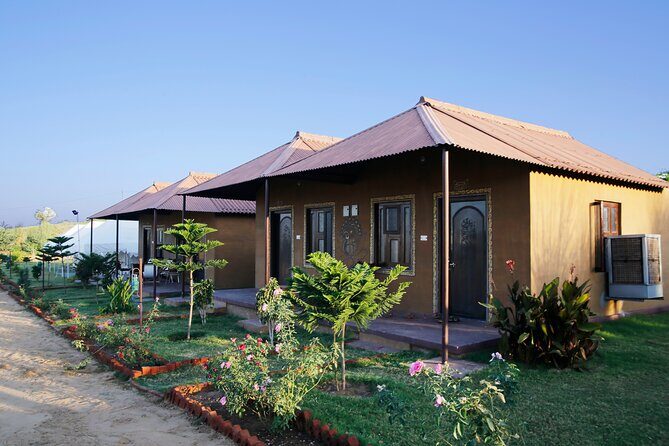 Camel Safari With Night Stay in Camp - What Past Travelers Say