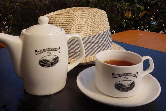 Cameron Highland Best Tour from Ipoh with Lunch ( Day Trip) - Who Will Love This Tour?