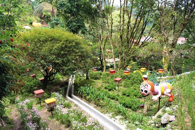 Cameron Highland Day Tour - Final Thoughts