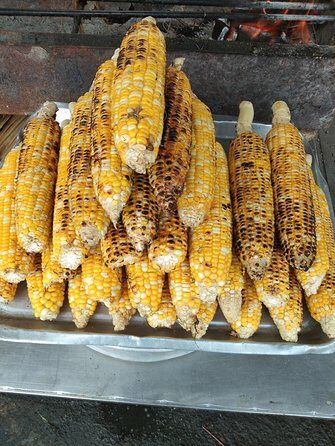 Cameron Highland Day Trip - The Sum Up: Is This Tour Right for You?