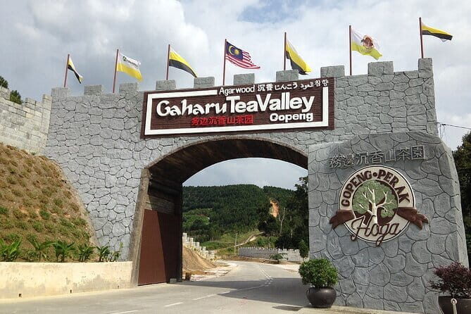 Cameron Highland Full Day Tour from KL City Private Tour - Authentic Experiences and Practical Details