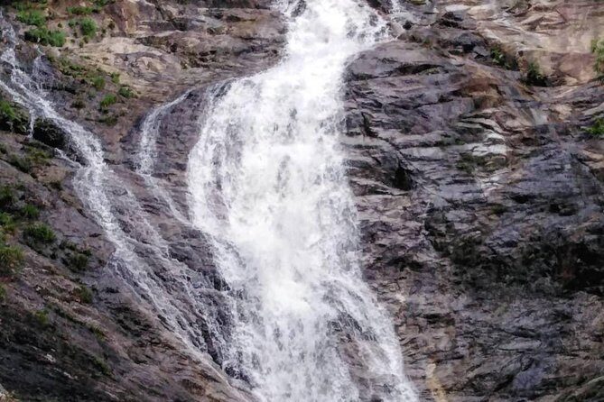 Cameron Highland Private Day Tour - FAQ