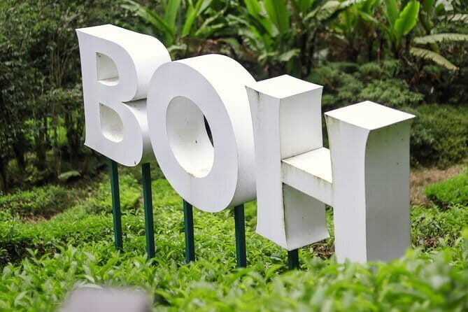 Cameron Highland Private Day Tour From Ipoh - Logistics and Value