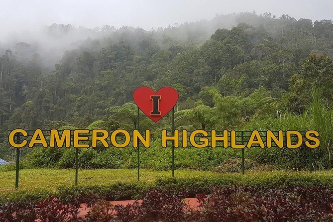 Cameron Highlands Amazing Day Trip Tour with Local Lunch - Key Points
