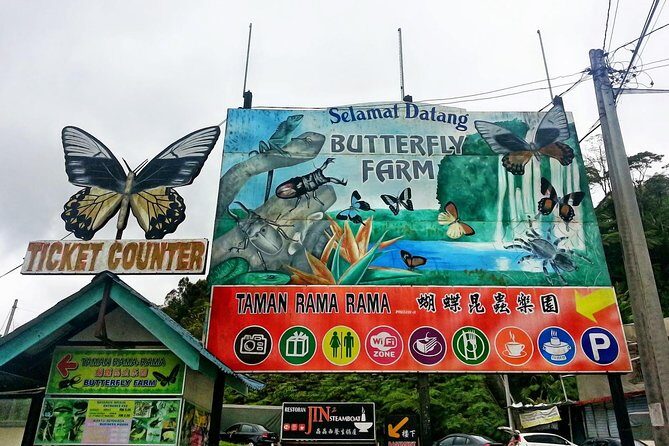 Cameron Highlands Amazing Day Trip Tour with Local Lunch - The Experience and What Travelers Say