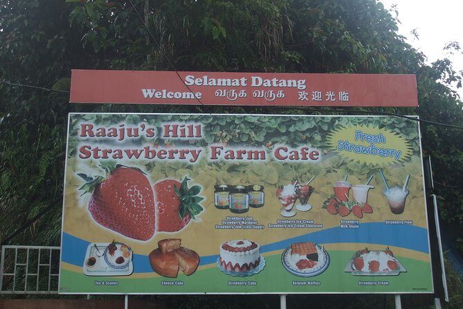 Cameron Highlands Amazing Day Trip Tour with Local Lunch - FAQ