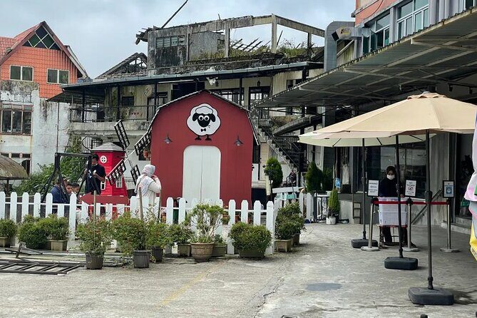 Cameron Highlands Day Tour from Ipoh -Tea Plantation - Final Thoughts