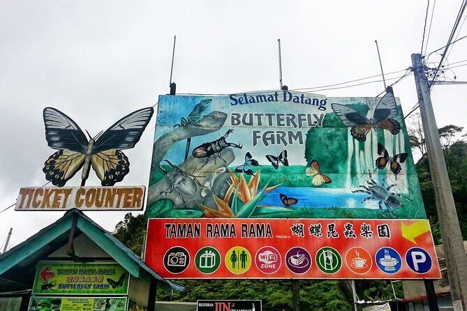 Cameron Highlands Day Tour From Kuala Lumpur 2025 - Key Points