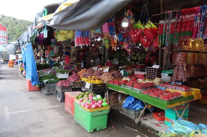 Cameron Highlands Day Tour From Kuala Lumpur 2025 - FAQs About the Cameron Highlands Day Tour