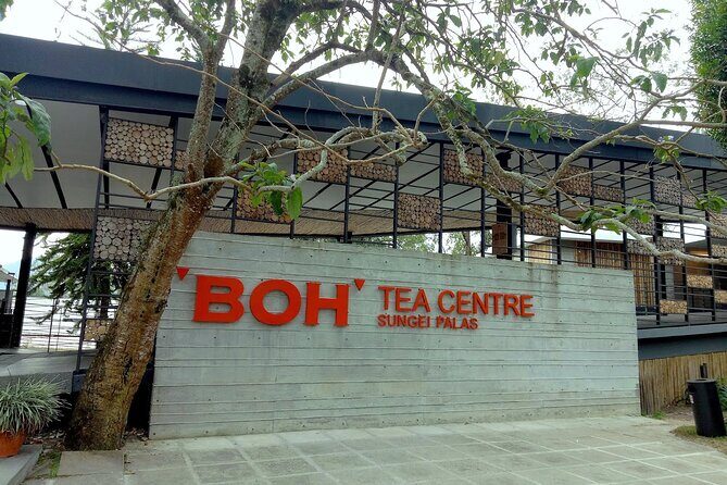 Cameron Highlands Day Tour From Kuala Lumpur (Private Tour) - Exploring Cameron Highlands Towns and Farms