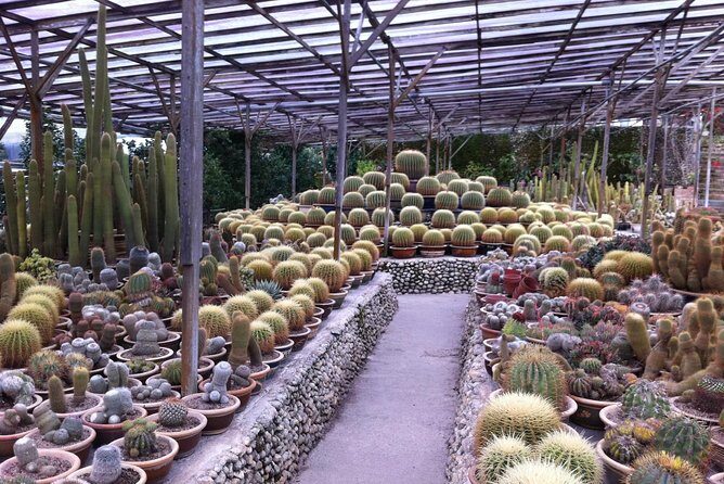 Cameron Highlands Day Tour From Kuala Lumpur (Private Tour) - The Final Stops: Temples and Relaxation