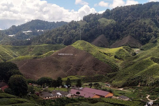 Cameron Highlands Day Trip - Key Points