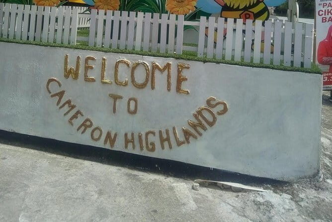 Cameron Highlands Day Trip - The Experience: What to Expect on Your Cameron Highlands Day Trip