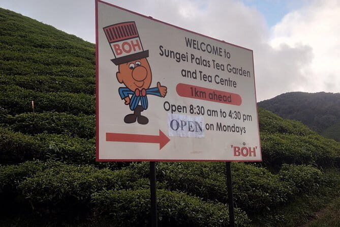 Cameron Highlands Day Trip - The Value and Practicalities