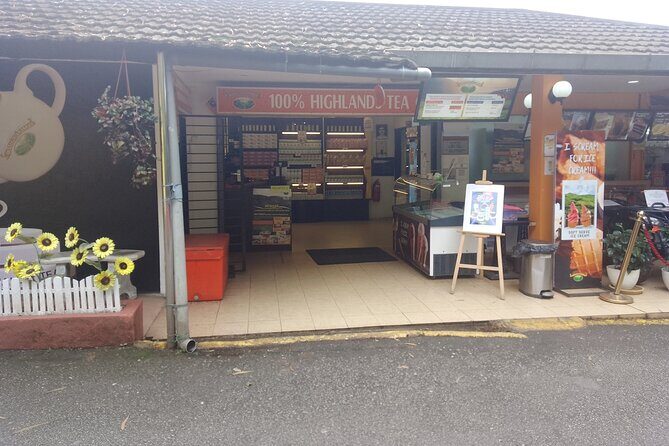 Cameron Highlands Day Trip - Who Should Consider This Tour?