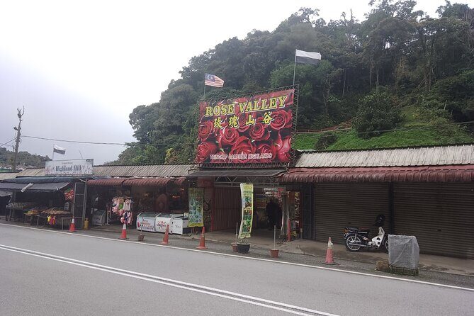 Cameron Highlands Day Trip - The Sum Up