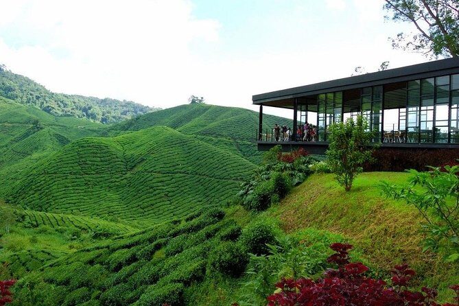 Cameron Highlands Fascinating Day Trip - Practical Details and What You Get