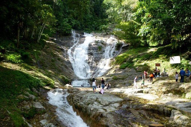 Cameron Highlands Full Day Nature Tour - The Itinerary in Detail: What to Expect at Each Stop