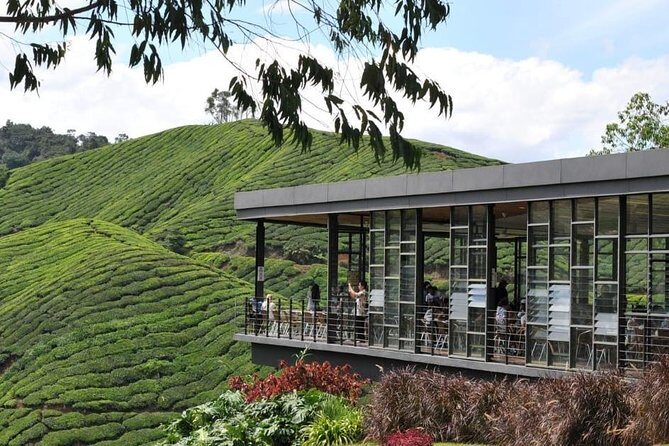 Cameron Highlands Full Day Nature Tour - Why Choose This Tour?