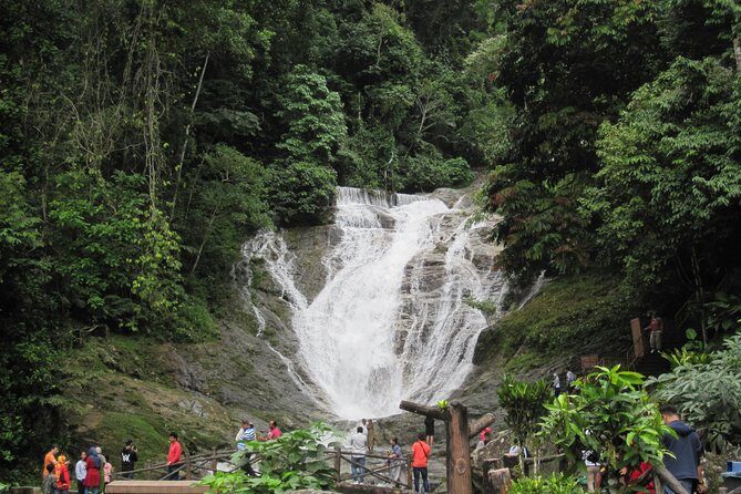 Cameron Highlands, Garden of Nature Full Day Private Guided Tour - Itinerary Breakdown: What You’ll See and Do