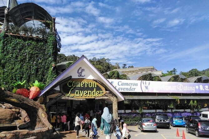 Cameron Highlands Multi Days Tour - An In-Depth Look at the Cameron Highlands Multi-Day Tour