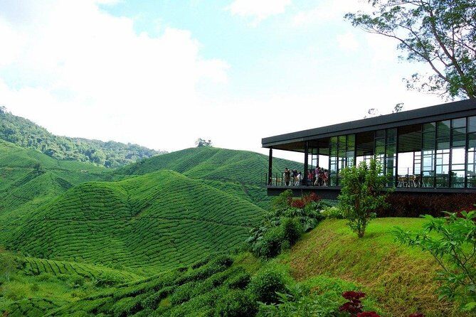 Cameron Highlands Nature Full Day Tour with Hobbitoon Village - What Does the Tour Mean for You?