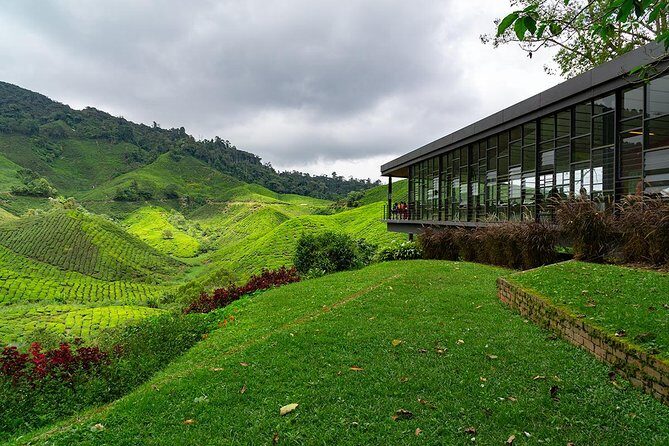 Cameron Highlands One Day Trip from Kuala Lumpur Privately Organised - The Value for Money