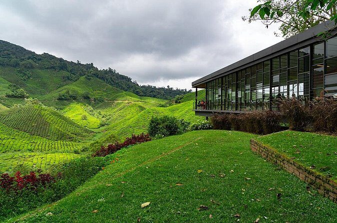 Cameron Highlands One Day Trip from Kuala Lumpur Privately Organised - Considerations Before Booking
