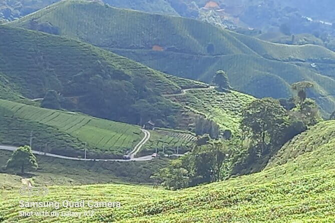Cameron Highlands Private Day Tour from Ipoh, Package B - Key Points