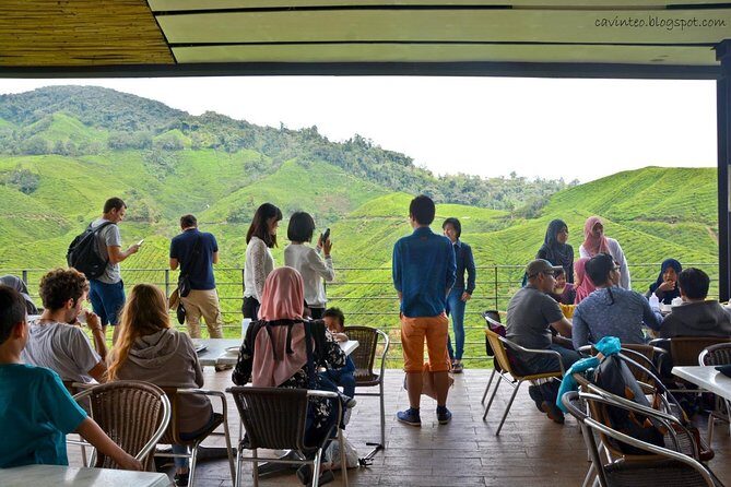 Cameron Highlands Private Day Tour from Kuala Lumpur - Practical Considerations and What You Should Know
