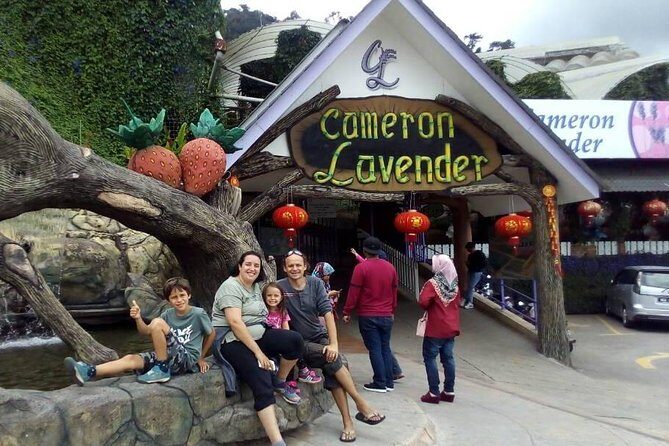 Cameron Highlands Sunrise Discovery - Is the Price Worth It?