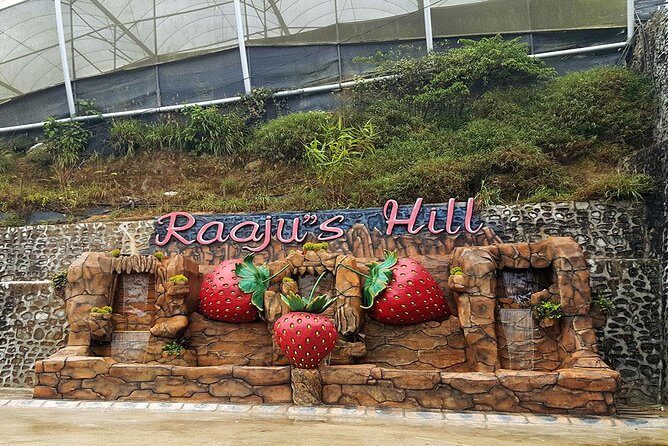 Cameron Highlands Tour From Kuala Lumpur (Private Tour) - Introduction: Why This Cameron Highlands Tour Might Be Your Best Choice