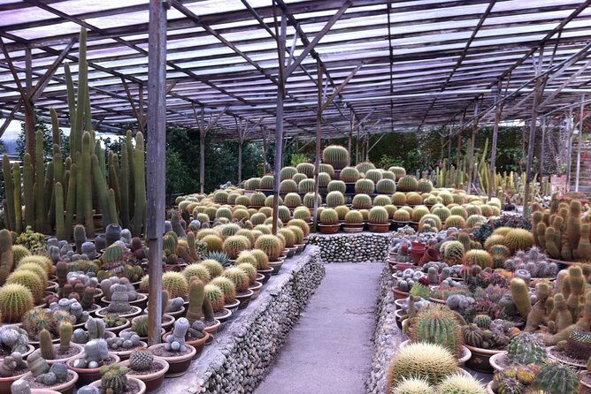 Cameron Highlands Tour From Kuala Lumpur (Private Tour) - Whats the Value for Money?