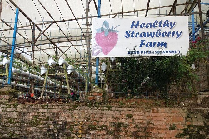 Cameron Highlands Tour From Kuala Lumpur (Private Tour) - FAQs