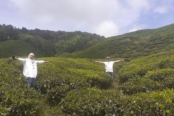 Cameron Highlands Tour From Kuala Lumpur (Special Deal) - The Journey Begins: From Kuala Lumpur to the Highlands