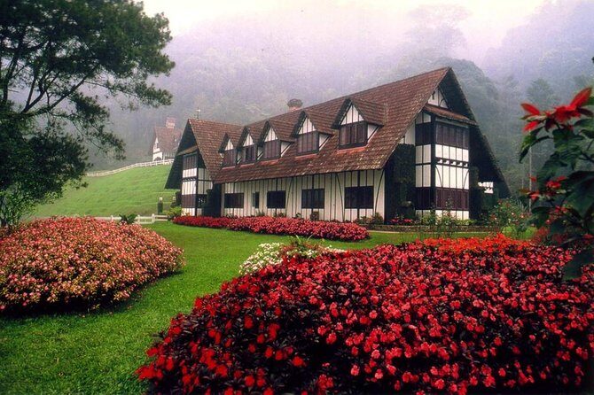 Cameron Highlands Tour on Private Basis - An In-Depth Look at the Cameron Highlands Tour