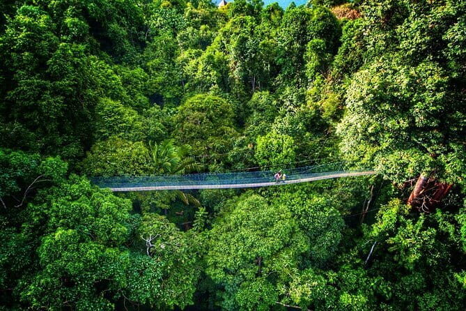 Cameron Highlands Transfer Private (Per Vehicle) - The Itinerary in Detail