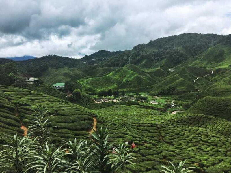 Cameroon Highland : Best nature in highland - Analyzing the Value