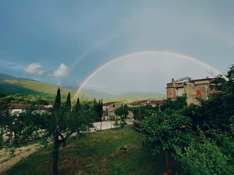 Camerota: Guided wine tasting - Discovering Cilento’s Flavorful Heart