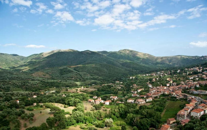 Camerota: Guided wine tasting - The Atmosphere and Experience