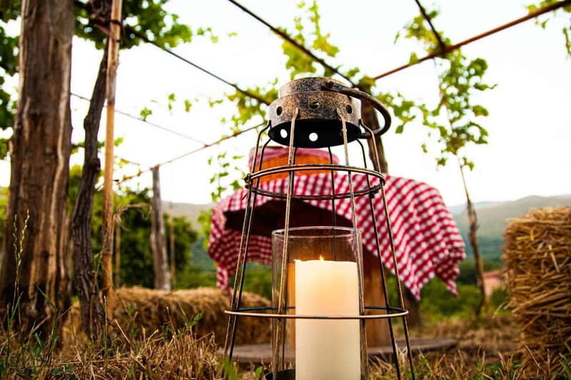 Camerota: Guided wine tasting - FAQ