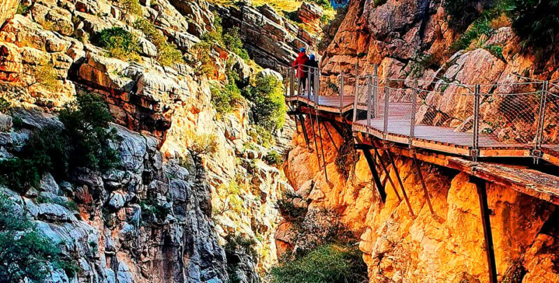 Caminito del Rey: Tour with Official Guide and Drink - What to Expect from the Tour