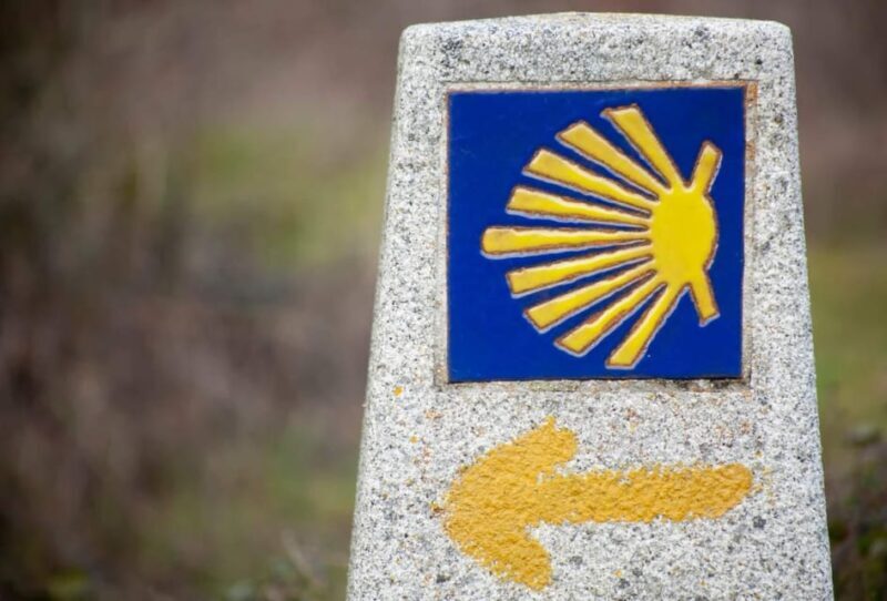 Camino de Santiago: Bicycle Rental - Exploring the Bicycle Rental Experience on the Camino