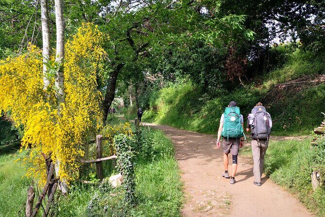 Camino de Santiago French from Sarria to Santiago de Compostela - A Complete Guide to the Camino de Santiago French from Sarria to Santiago de Compostela