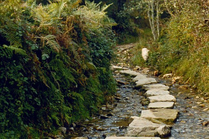 Camino De Santiago: Last 100 km walk from Sarria to Santiago de Compostela - Authentic Experiences and Practical Tips
