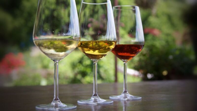 Camogli: Ligurian Wine Tasting Experience - Key Points