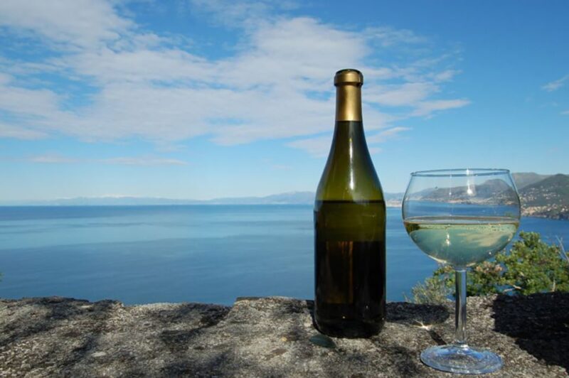 Camogli: Ligurian Wine Tasting Experience - Authenticity and Quality