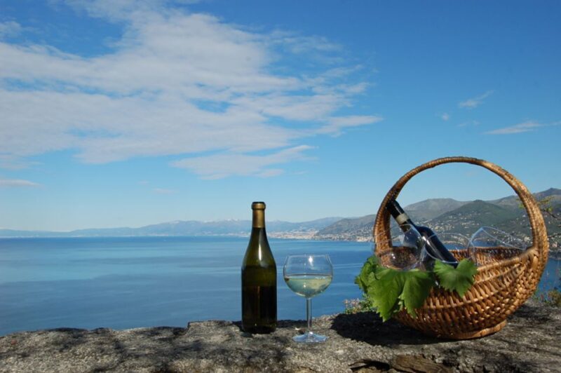 Camogli: Ligurian Wine Tasting Experience - Who Should Consider This Tour?